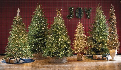 What Size Christmas Tree Do I Need With My Ceiling?