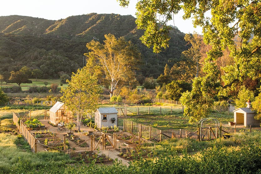 Book Review: Patina Farm by Steve & Brook Gianetti