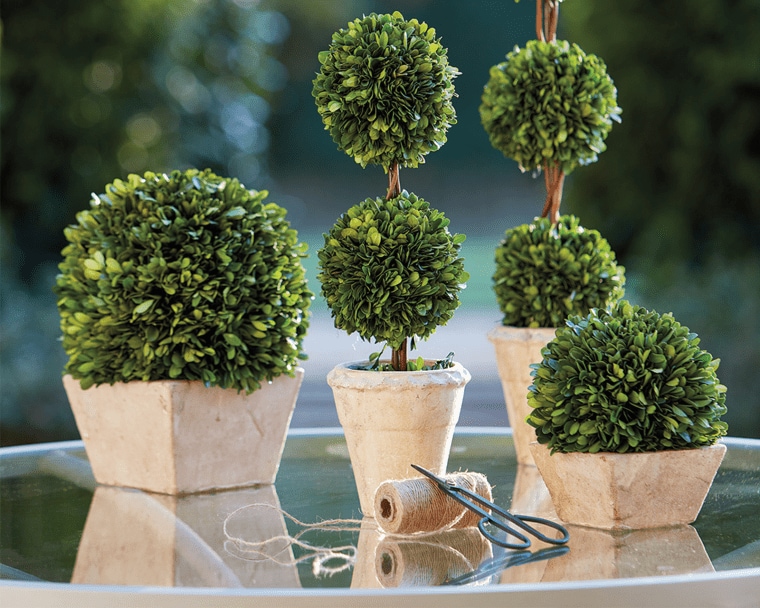 How to Arrange Faux Botanicals in Your Home - How to Decorate