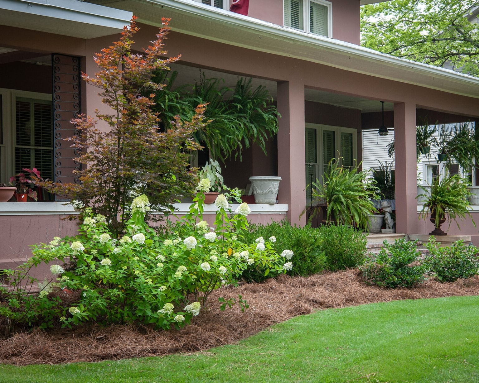 Podcast, Ep. 407: Spring Gardening Tips with Brantley Snipes